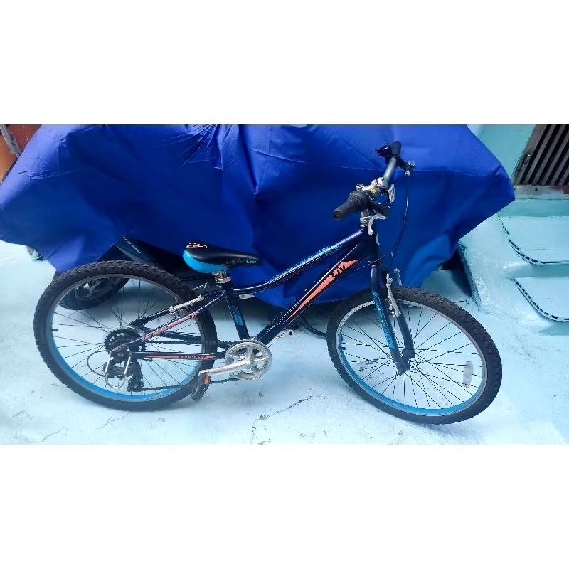 現貨 新品庫存出清 【GIANT】Liv Alight 24吋 青少車 變速轉把 紫色 鋁合金車架 通勤運動自行車, 體育器材, 自行車及配件 ...