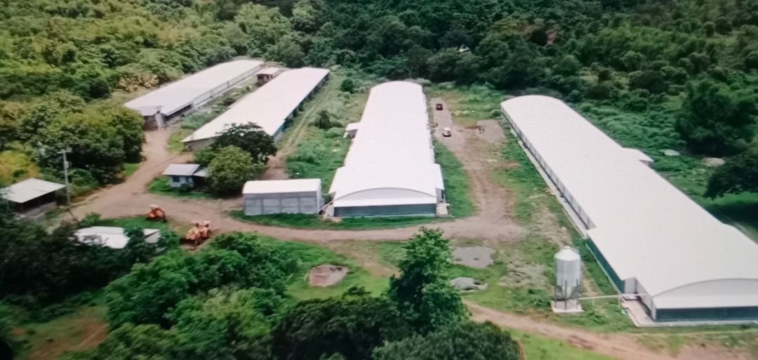 DEVELOPED Large Farm 144 hectares with Modern Poultry Buildings and Airstrip with Hangar P500 ...