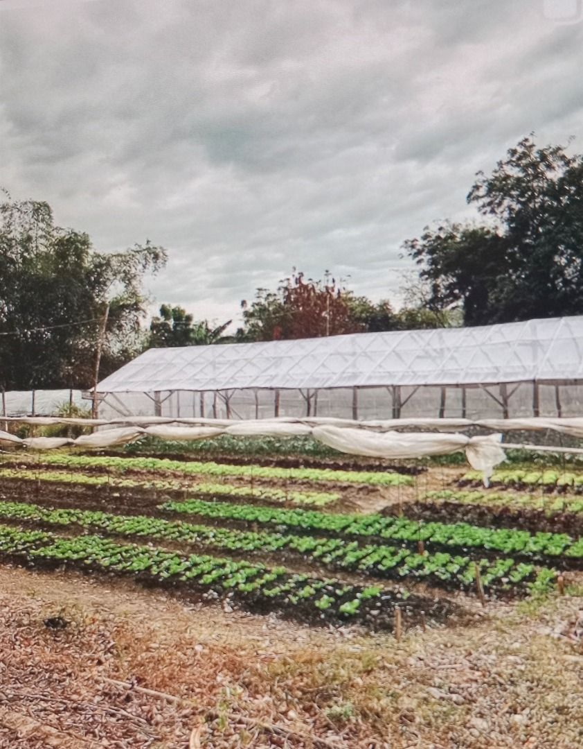 DEVELOPED Large Farm 144 hectares with Modern Poultry Buildings and ...