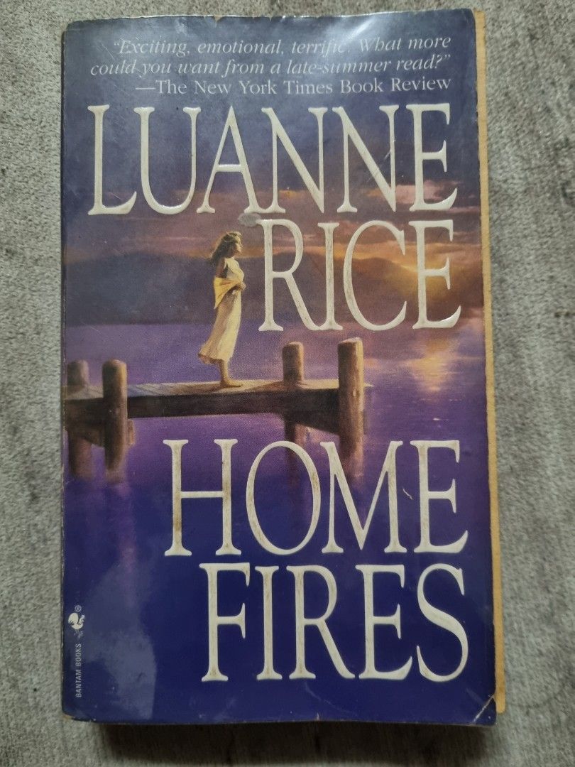 Home Fires - Luanne Rice, Hobbies & Toys, Books & Magazines, Storybooks ...