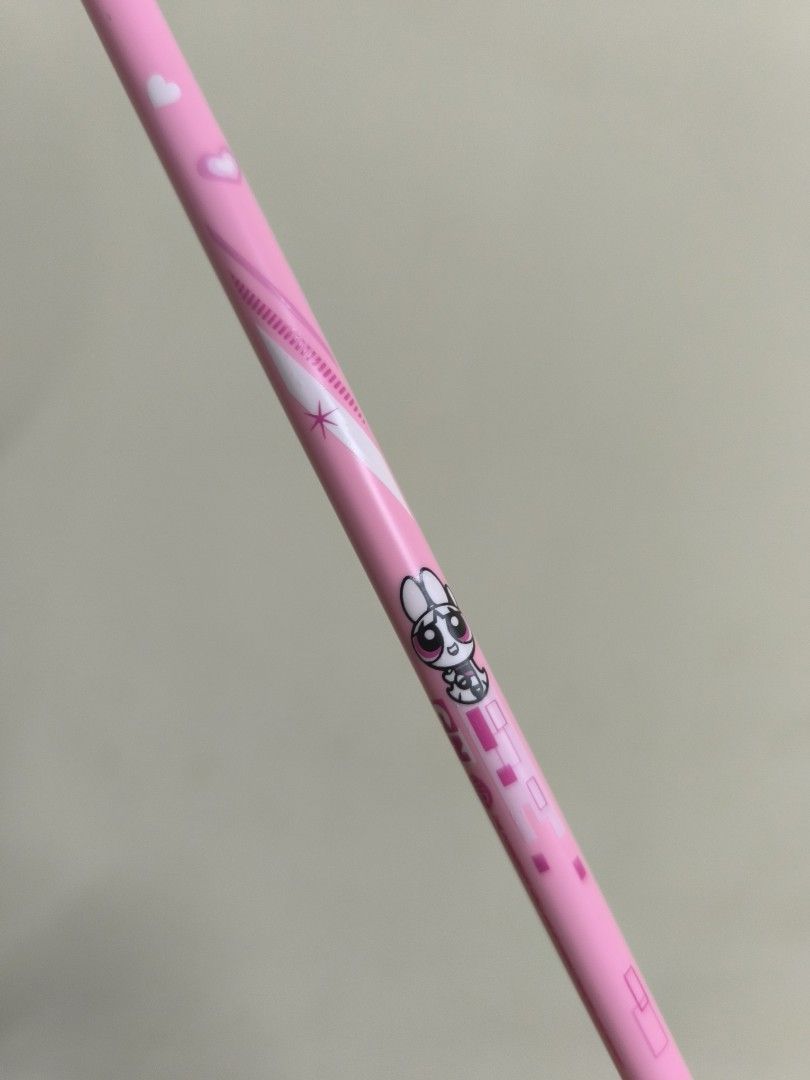 MAXX Sports x The Powerpuff Girls 25th Anniversary Limited Edition ...