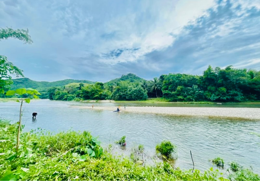 RUSH SALE TANAY Rizal Riverfront Campsite/Farm Lot (Good for Business ...