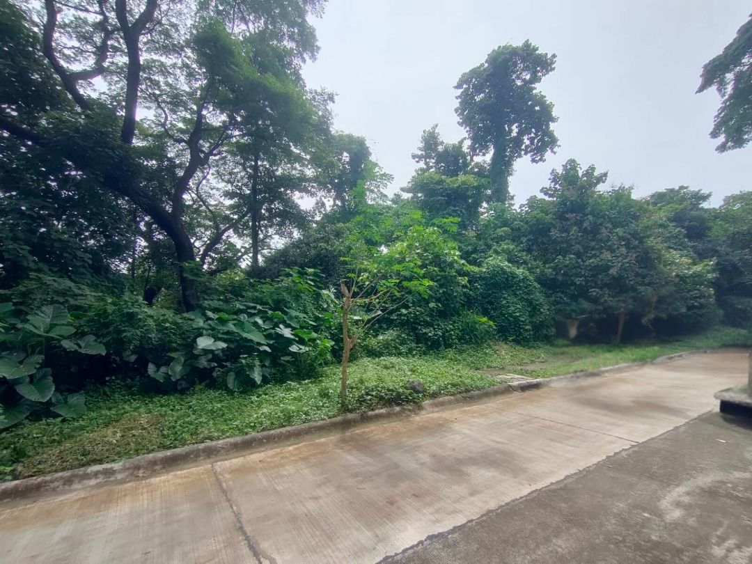 792sqm Lot in Forest Farms at Havila by Filinvest Land, Angono, Rizal ...