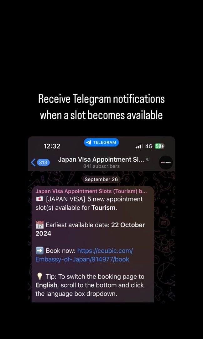 Japan Visa Slot Appointment Booking Notification Service / Japanese Visa on Carousell