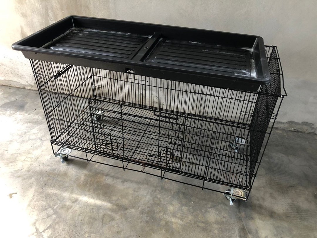 Cage [SELF PICKUP IPOH], Pet Supplies, Homes & Other Pet Accessories on ...