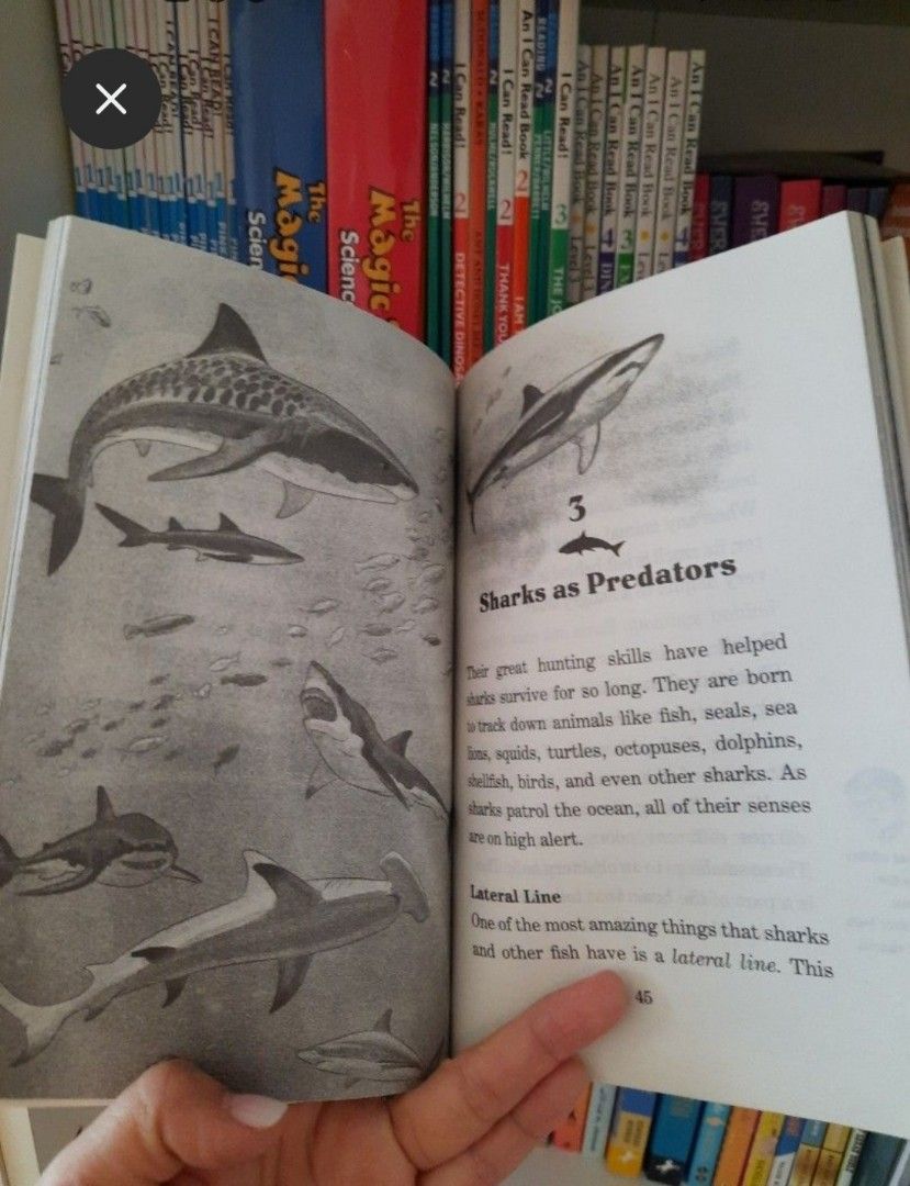 兒童英文圖書~Magic Tree House 一Fact Tracker / 1套40本, 興趣及遊戲, 書本 & 文具, 小朋友書 ...