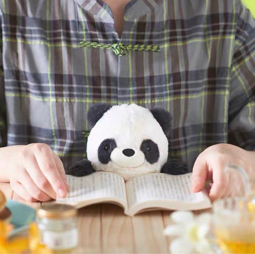 Posture Pals doll Fumu Haru panda Posture Correcting back Soft Toy ...