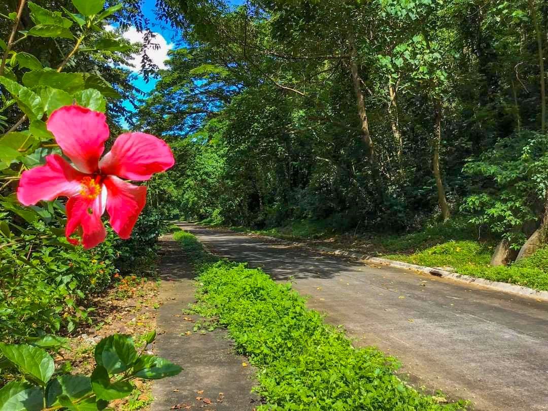 RESIDENTIAL FARM lot for sale in Forest Farms Havila Antipolo nr ...