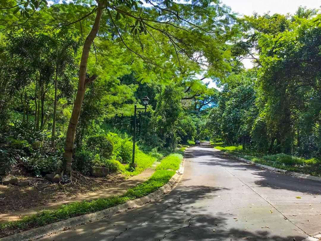 RESIDENTIAL FARM lot for sale in Forest Farms Havila Antipolo nr ...