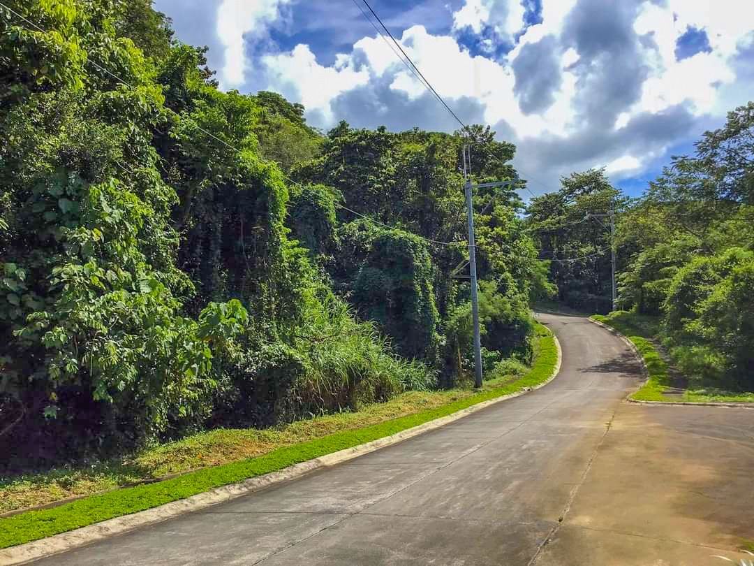 RESIDENTIAL FARM lot for sale in Forest Farms Havila Antipolo nr ...