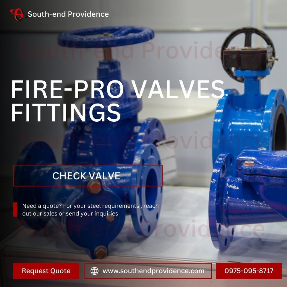 Check Valve / 2" Check Valves / Water Valve / Globe Valve, Commercial ...