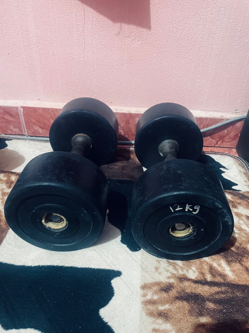 dumbbell 12kg x 2, Sports Equipment, Exercise & Fitness, Weights ...