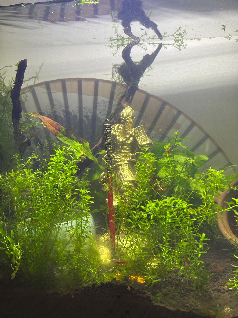 Gold Wukong 金孫悟空 Black Myth Journey to the West Figurine Game Aquarium ...