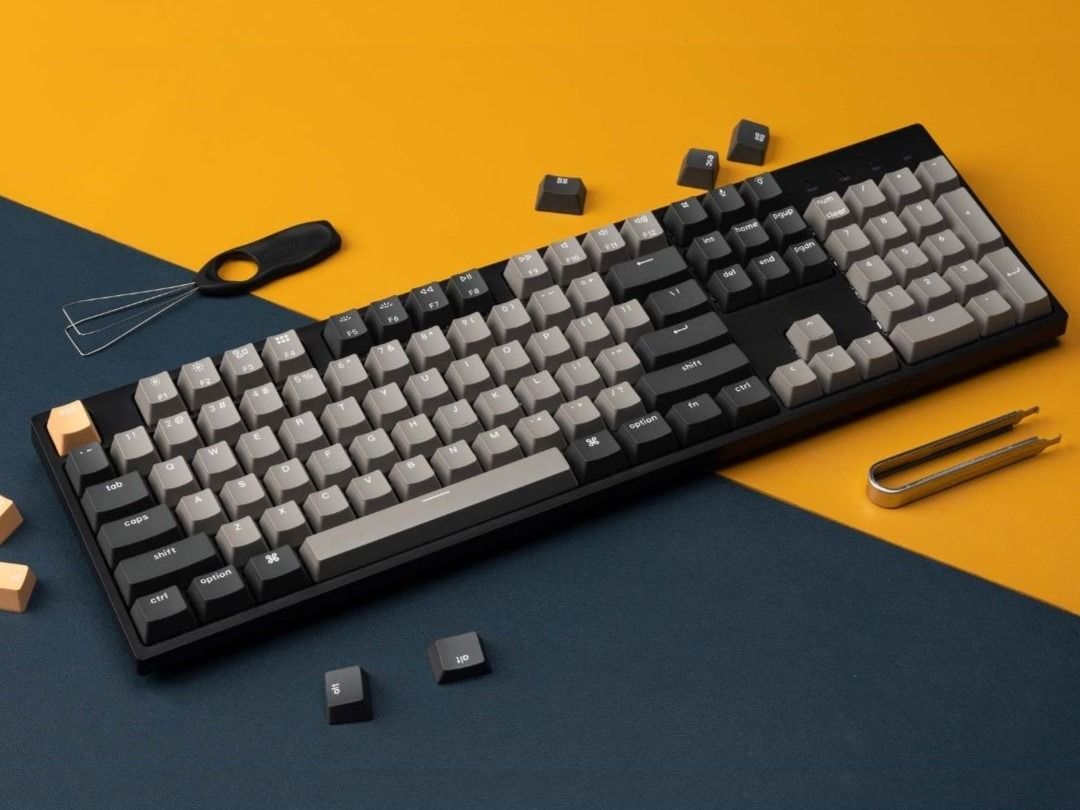 Keychron C2 Pro QMK Mechanical Keyboard (Full Size Layout, Wired, RGB ...