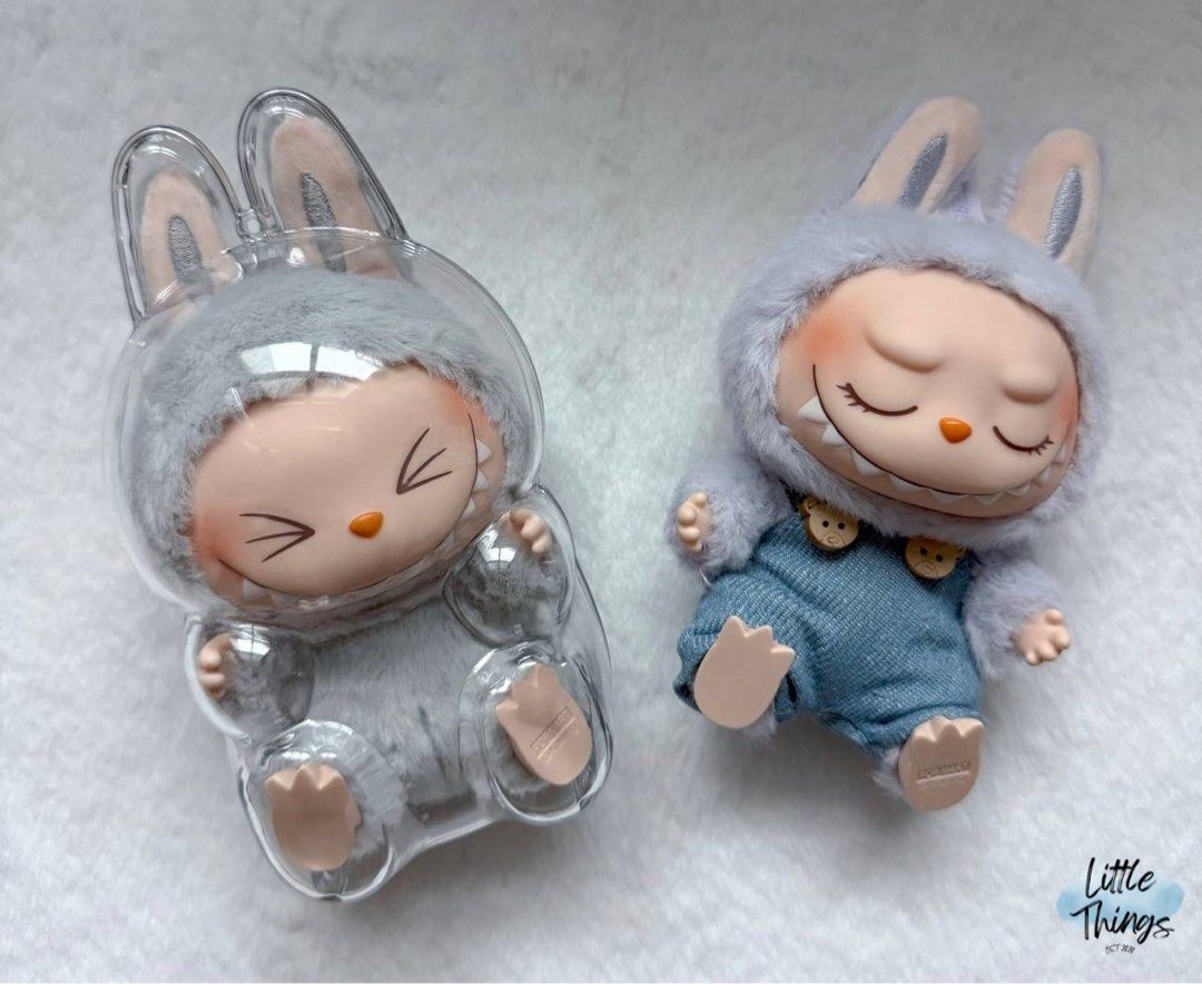 Labubu Acrylic Case - V2 ONLY, Hobbies & Toys, Toys & Games on Carousell