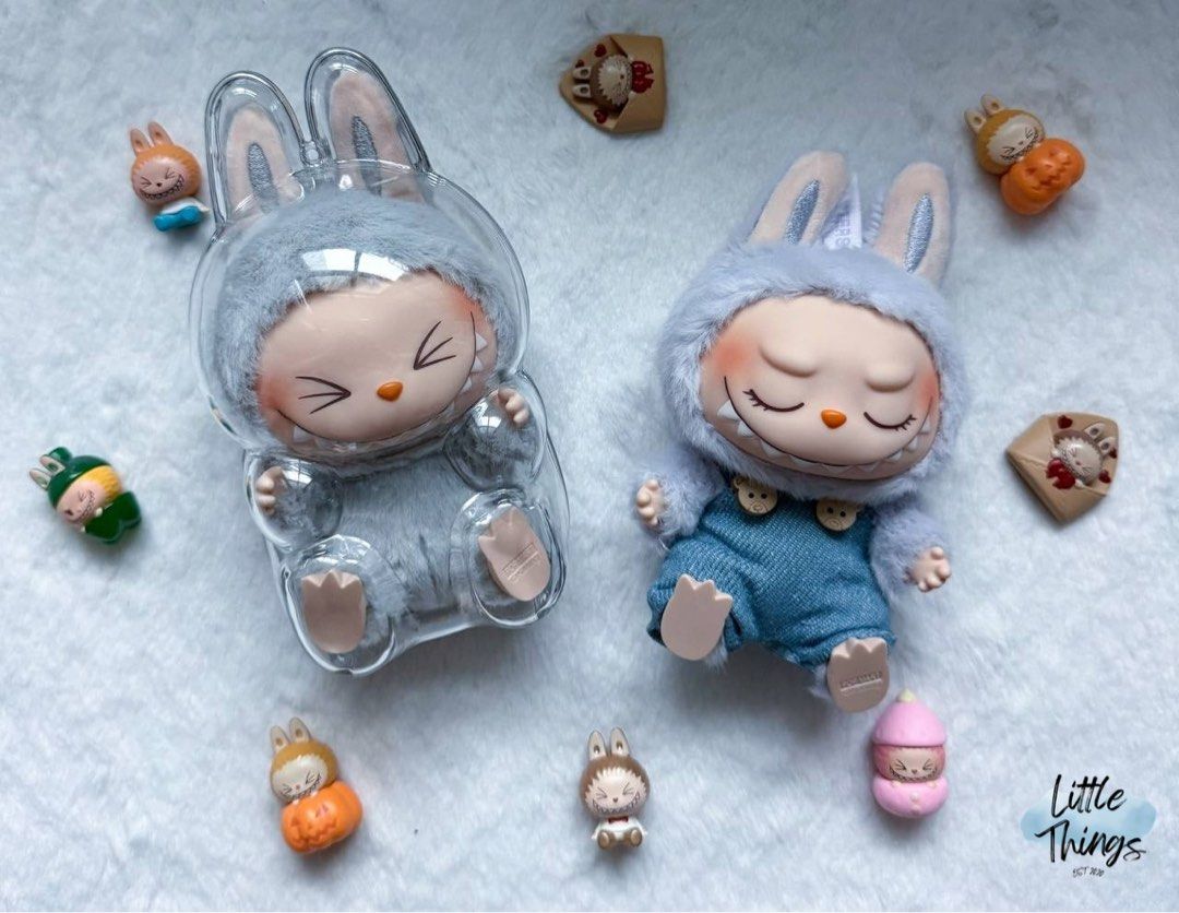 Labubu Acrylic Case - V2 ONLY, Hobbies & Toys, Toys & Games on Carousell