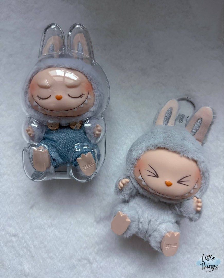 Labubu Acrylic Case - V2 ONLY, Hobbies & Toys, Toys & Games on Carousell