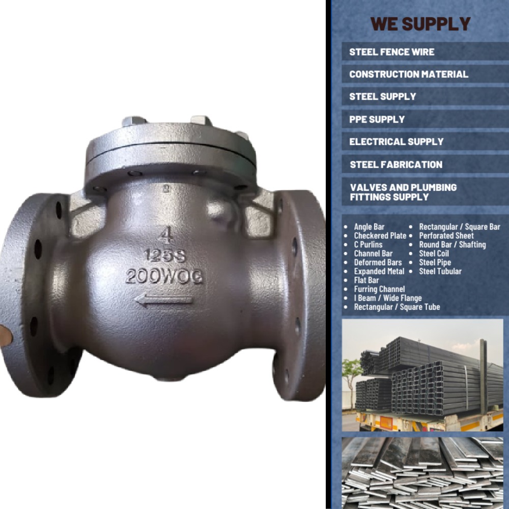 5" CI Valve / Cast Iron Check Valve / CI Check Valve / Flange Smith ...