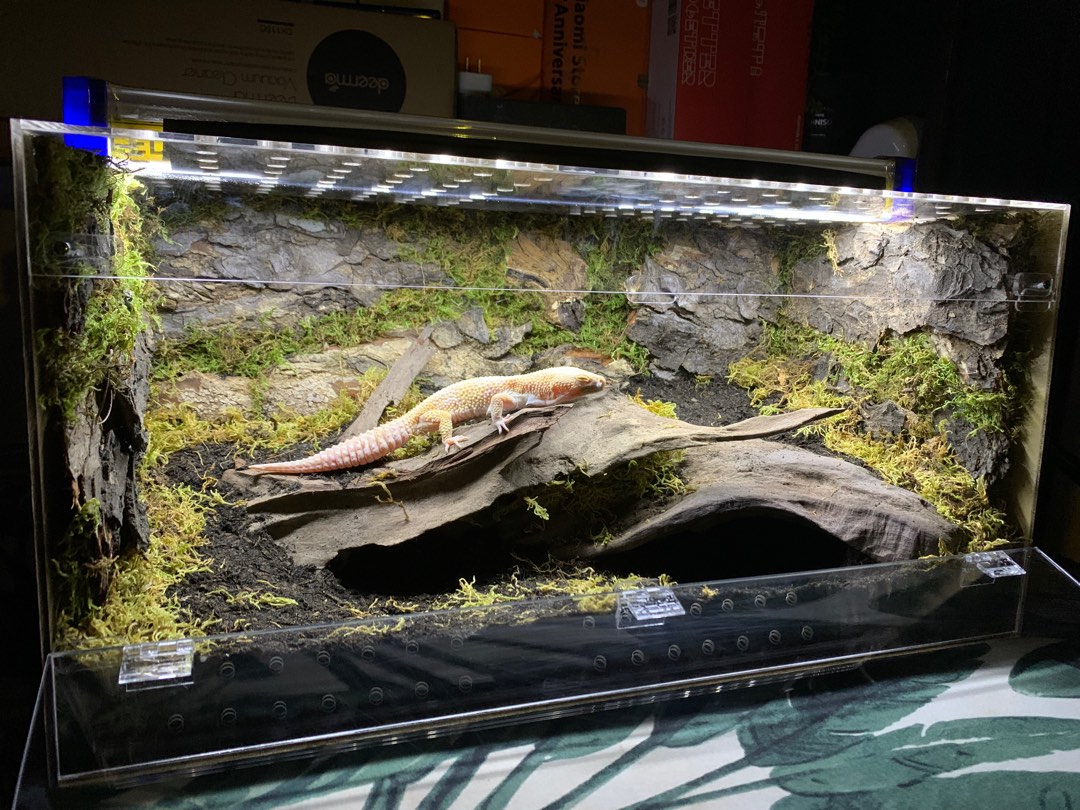 Acrylic Enclosure with complete setup taguig location, Everything Else ...