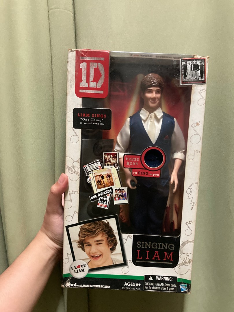 One Direction (1D) Liam Payne Doll + Freebies, Hobbies & Toys ...