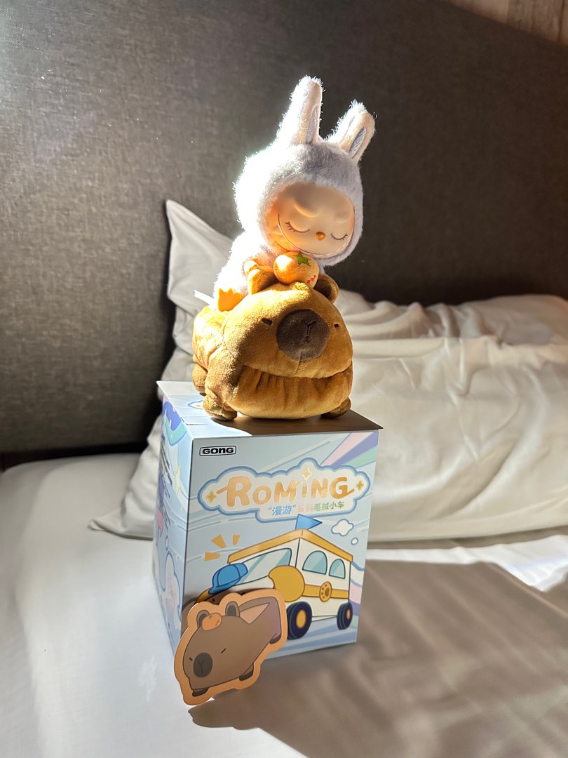 Pop Mart Roming Capybara Car (labubu NOT for sale), Hobbies & Toys ...