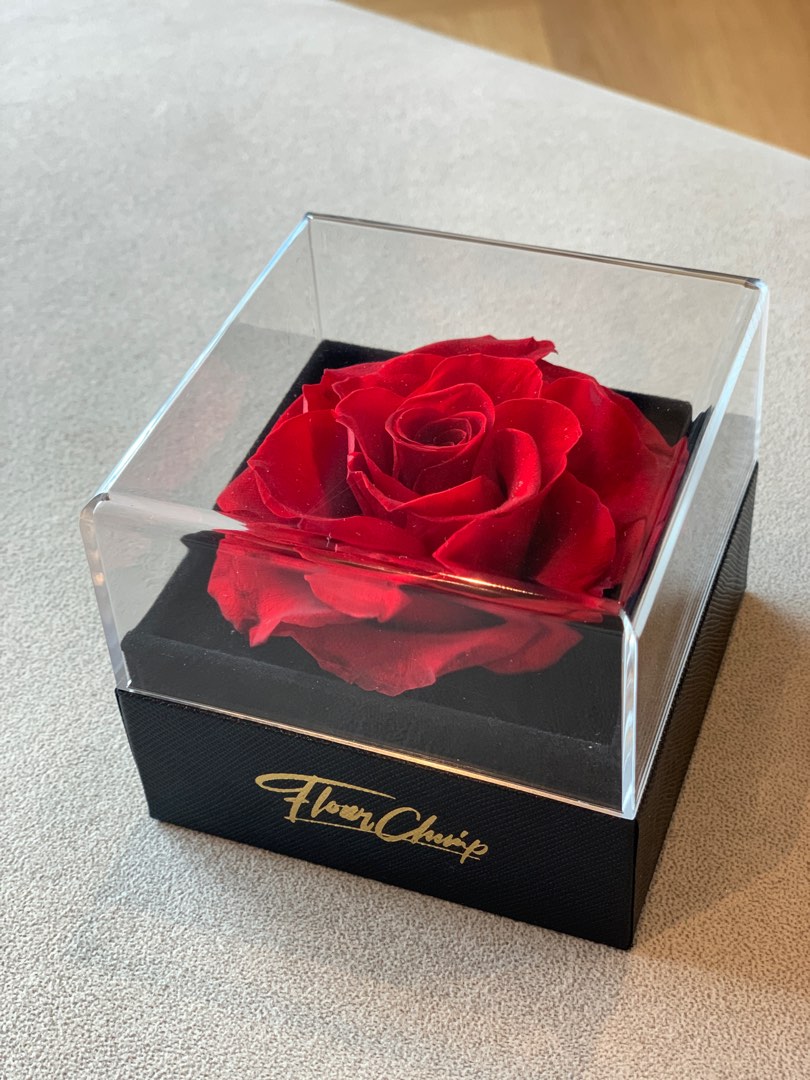 Preserved Red Rose Flower Box, Hobbies & Toys, Stationery & Craft ...