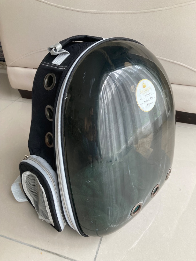 Transparent Cat Carrier Beg Kucing Lutsinar, Pet Supplies, Homes ...