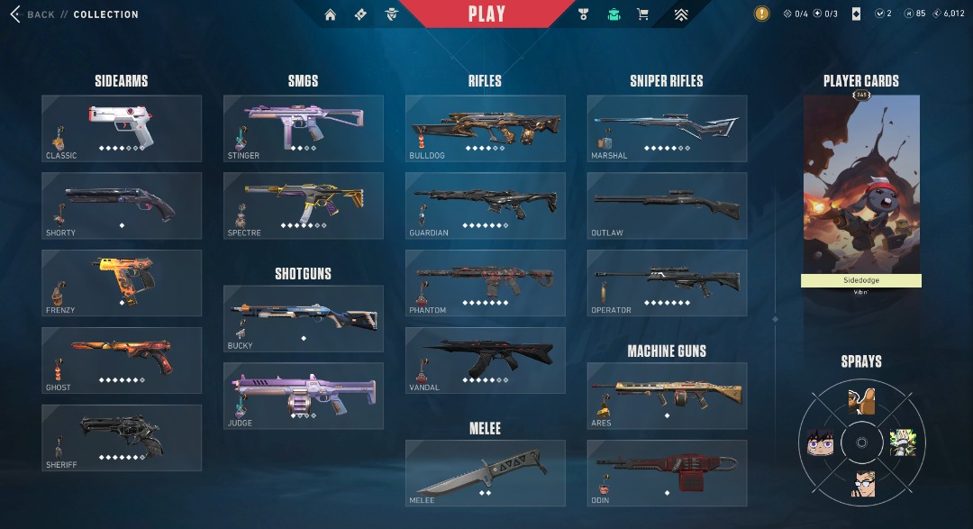 VALO account for sale! (Includes champion karambit & vandal, arcane ...