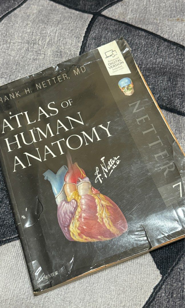 Atlas of Human Anatomy 7th Edition Frank Netter, Hobbies & Toys, Books ...
