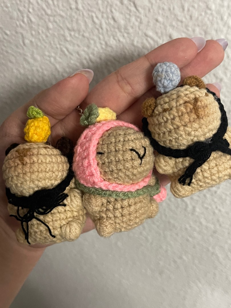 Crochet Capybara, Hobbies & Toys, Stationery & Craft, Handmade Craft on ...