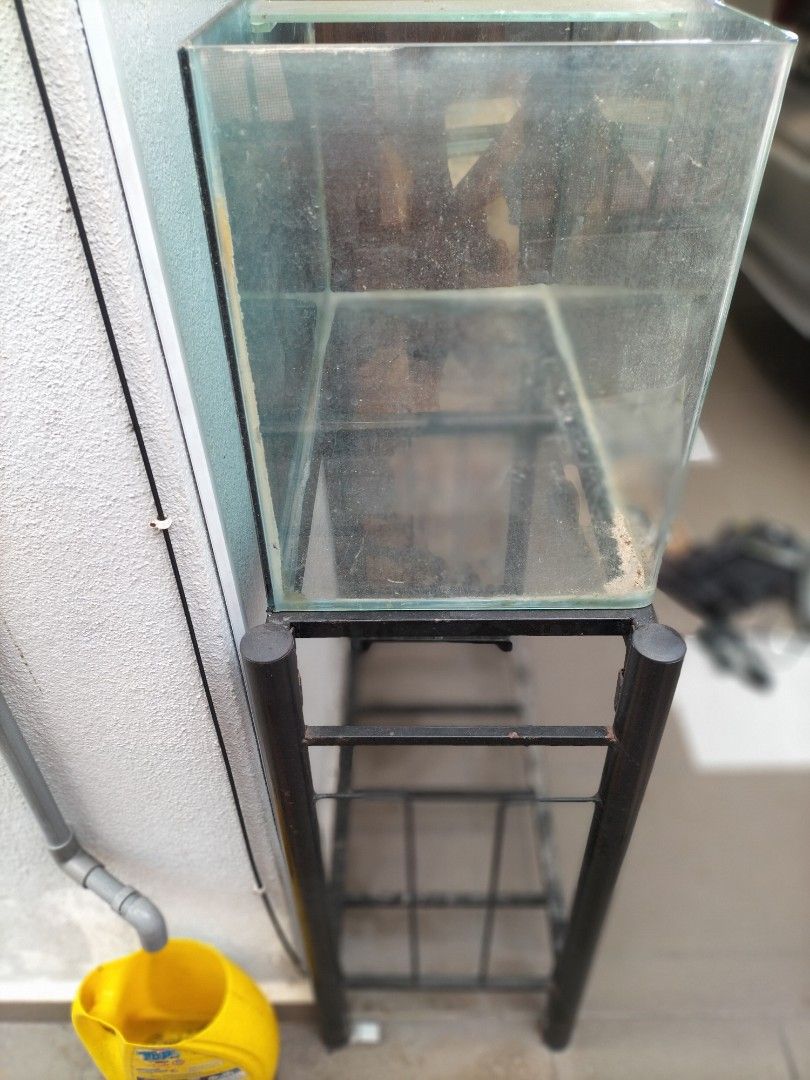 Curved aquarium akuarium ikan fish tank 2 feet 60cm x 40cm x 30cm, Pet Supplies, Homes & Other ...