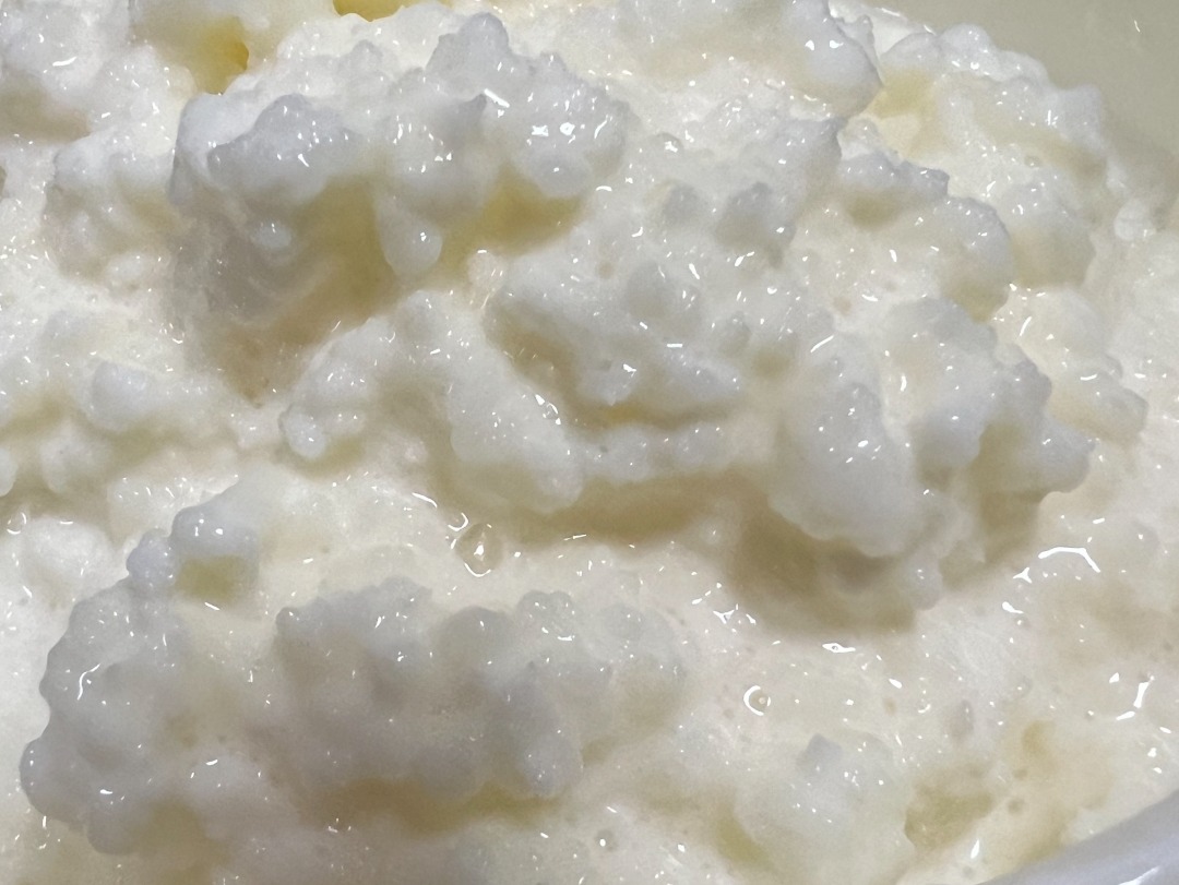 MILK KEFIR GRAINS (ACTIVE) 2tbsp + extra 1tbsp (limited), Health ...