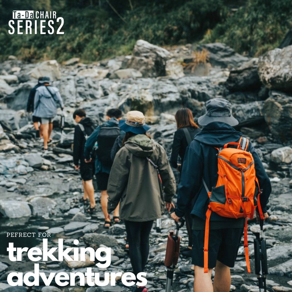 Ta-Da® Chair Series 2 Walking Seat Stick with carrying bag | Made in ...