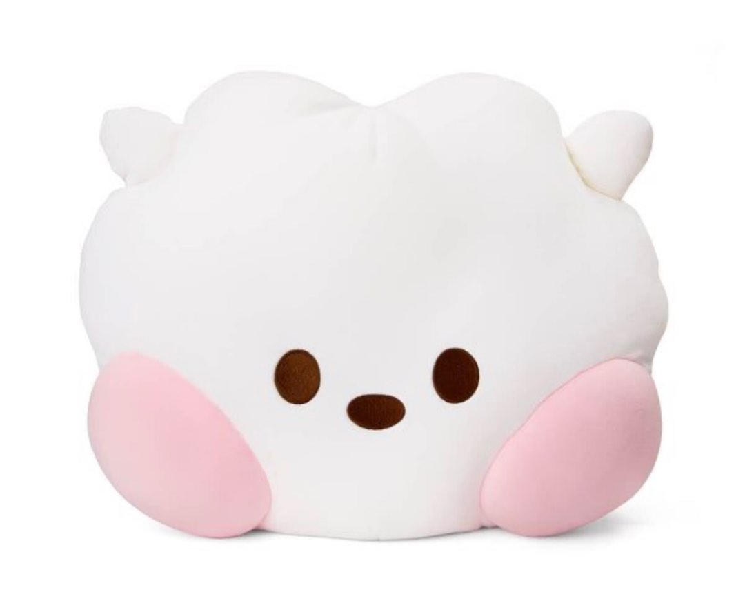 BT21 RJ MININI big head cushion, Hobbies & Toys, Toys & Games on Carousell