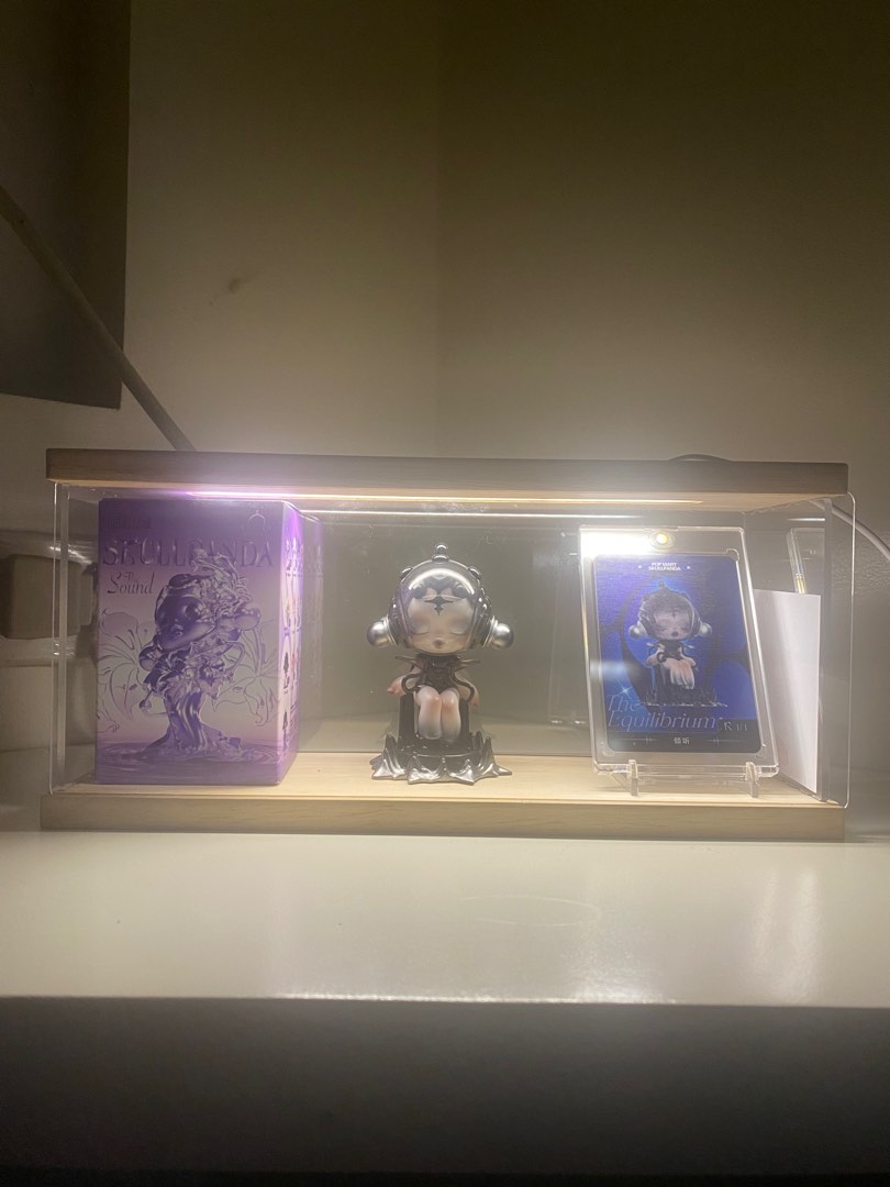 Skullpanda The Sound (Secret), Hobbies & Toys, Toys & Games on Carousell