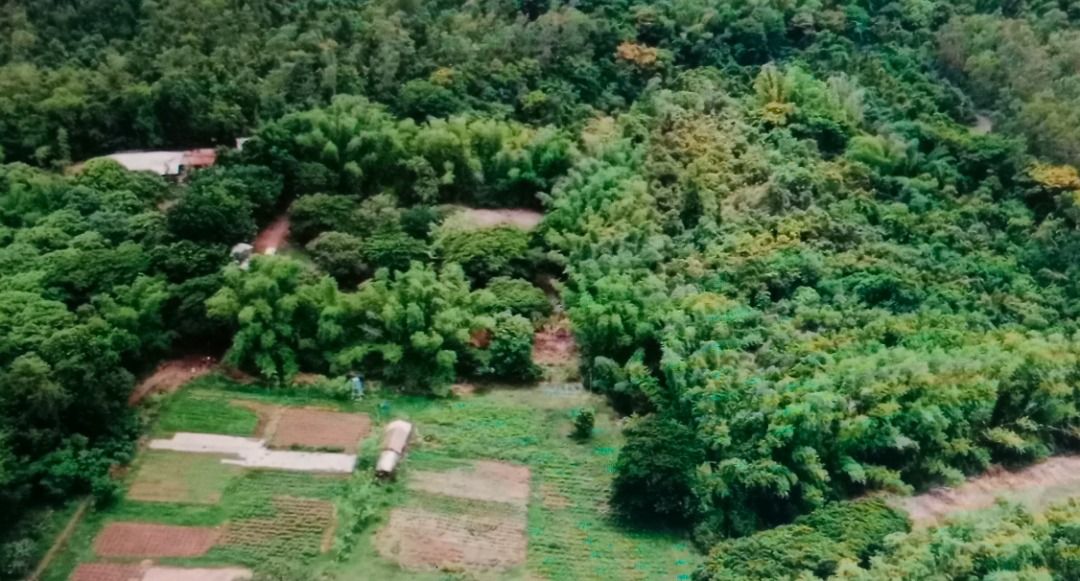 DEVELOPED Large Farm 144 hectares with Modern Poultry Buildings and ...