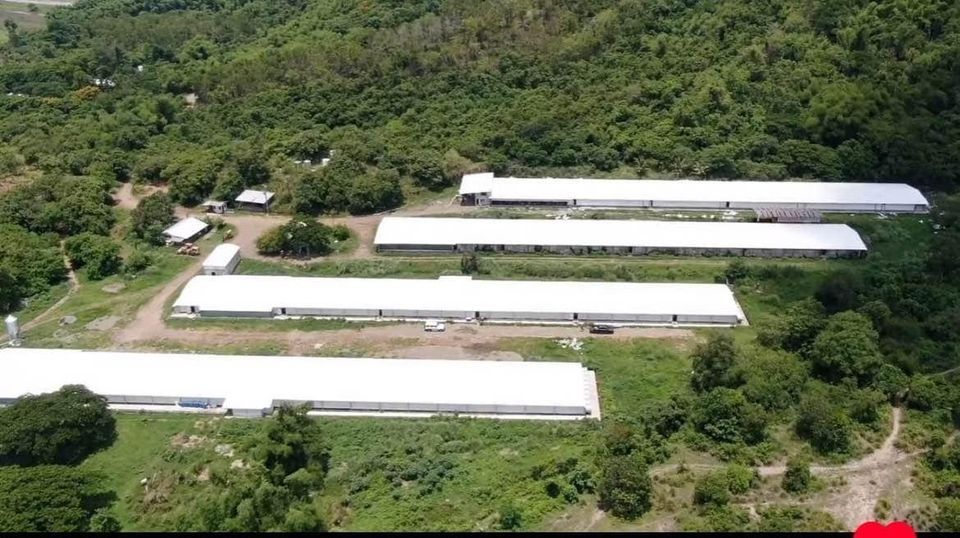 DEVELOPED Large Farm 144 hectares with Modern Poultry Buildings and ...