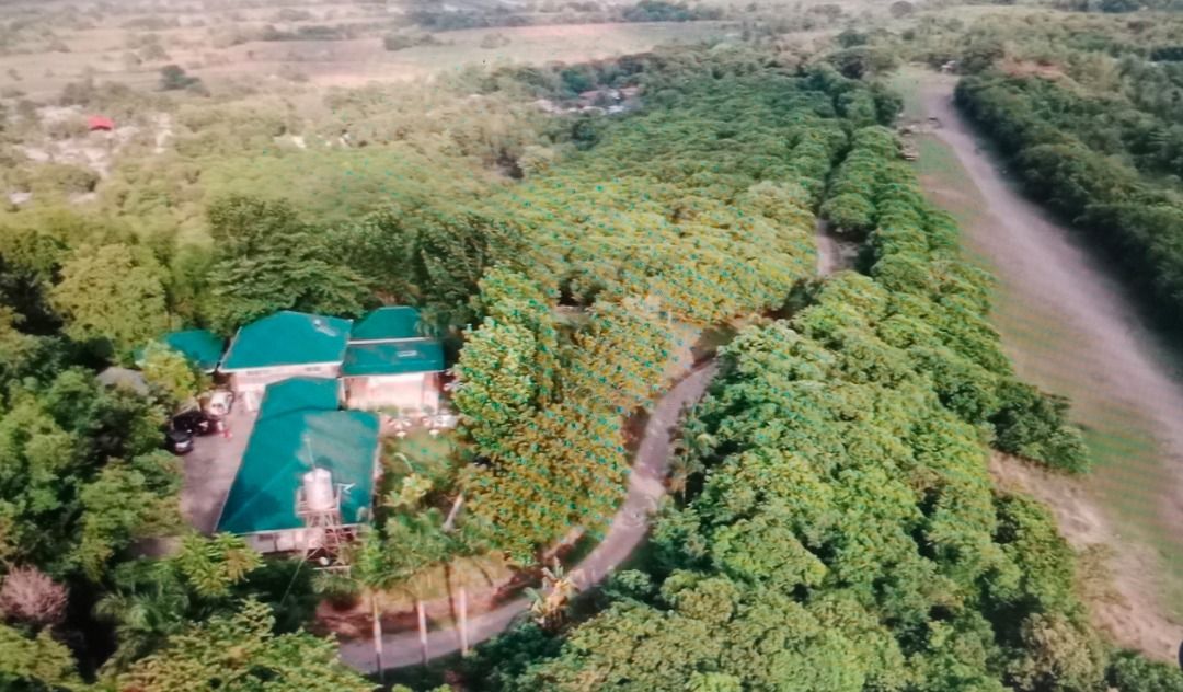 DEVELOPED Large Farm 144 hectares with Modern Poultry Buildings and ...
