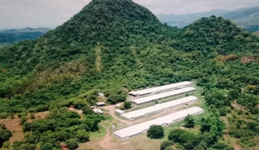 DEVELOPED Large Farm 144 hectares with Modern Poultry Buildings and ...