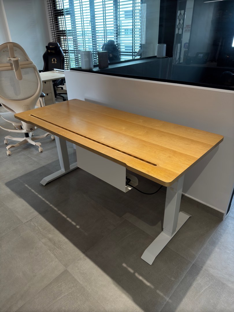 EverDesk Lite Height Adjustable Desk (Raw Ashen Oak / White Frame), Furniture & Home Living ...