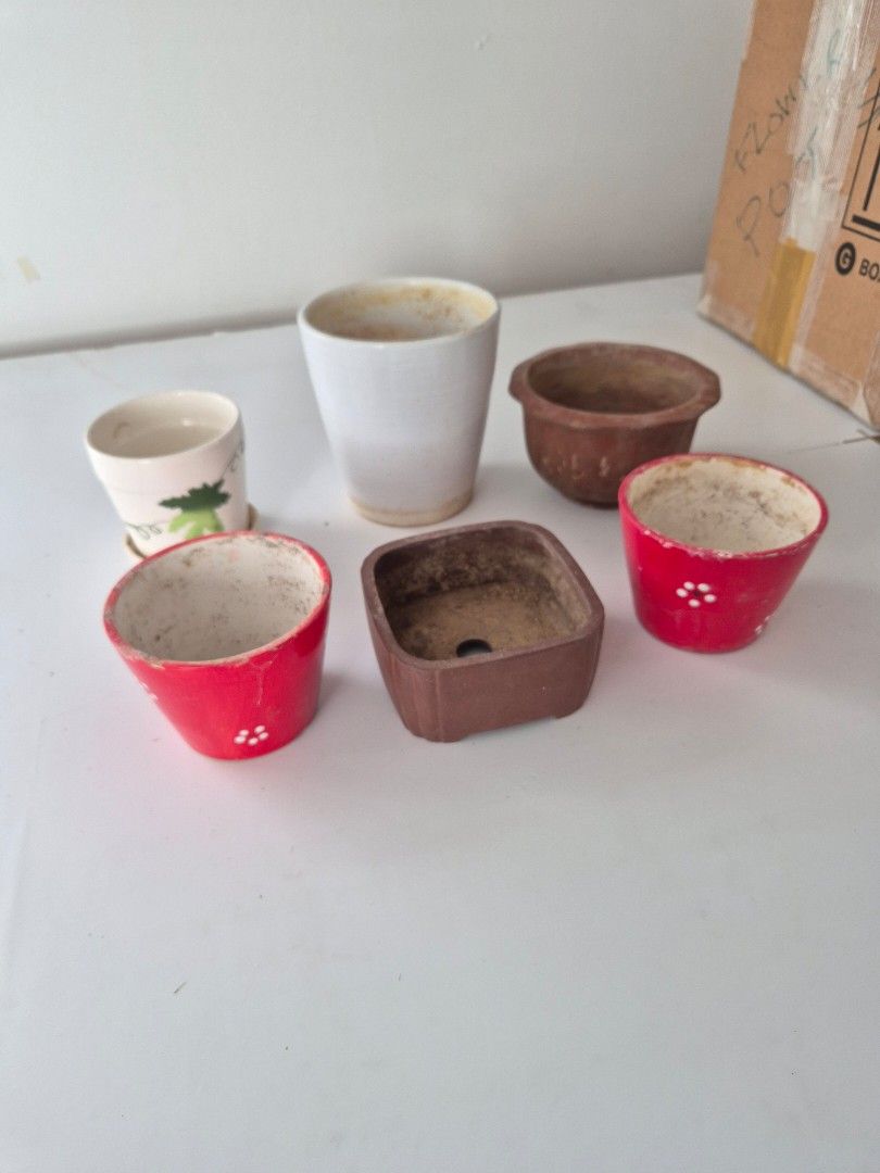 Flower Pots, Furniture & Home Living, Gardening, Pots & Planters on ...