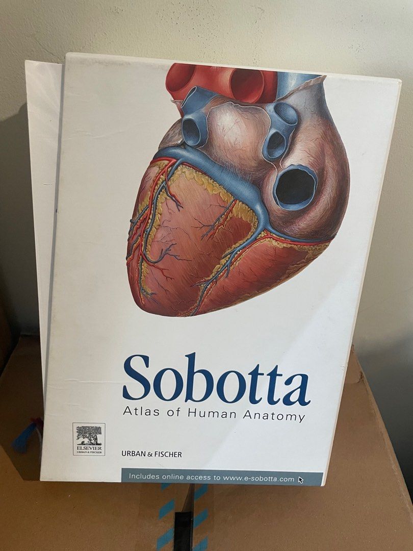 Sobotta Atlas of human Anatomy, Buku kedokteran Anatomi Manusia Edisi ...