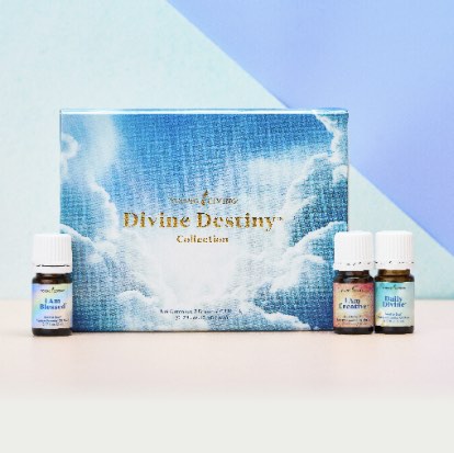 Divine destiny collection, 汽車配件, 其他 - Carousell