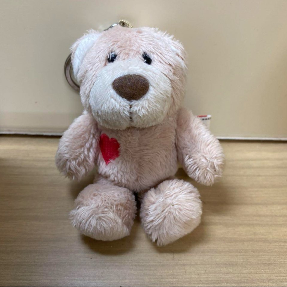 NICI dog plush keychain, Hobbies & Toys, Toys & Games on Carousell