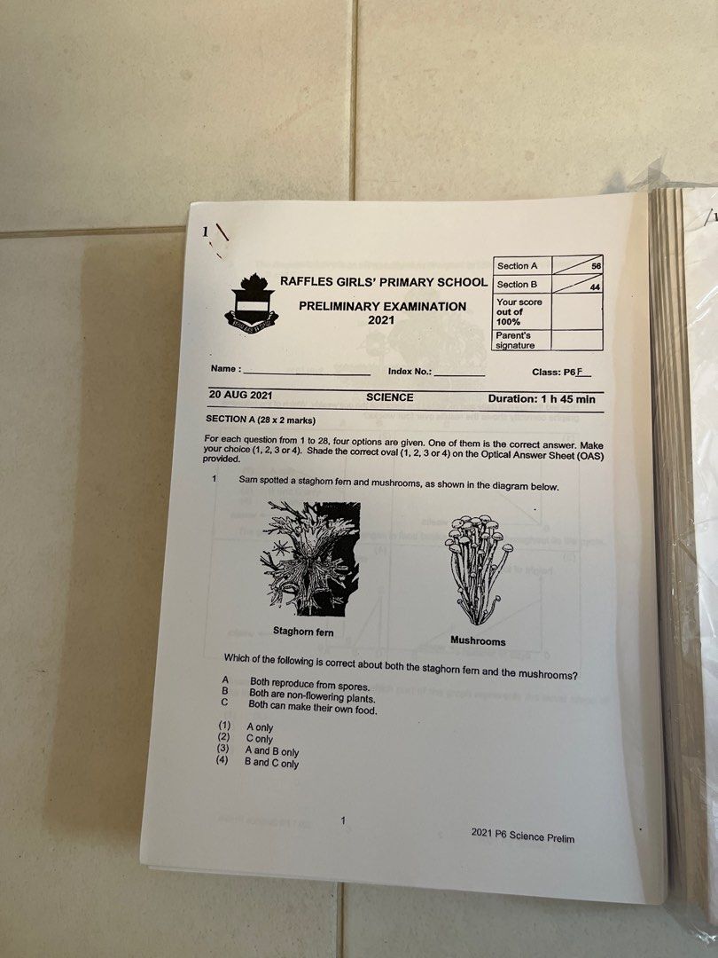 PSLE past year paper math and science 2021 ,2023, Hobbies & Toys, Books ...