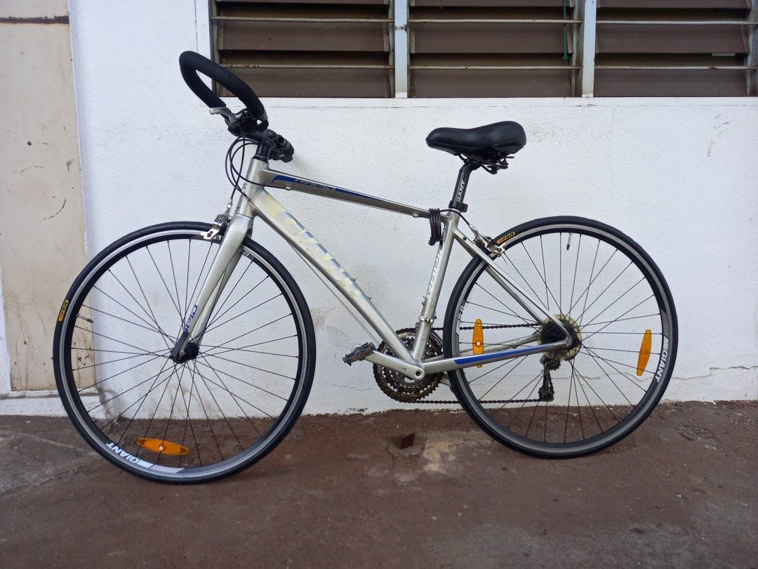 Roadbike / Raleigh Giant Rapid 2, Sports Equipment, Bicycles & Parts ...