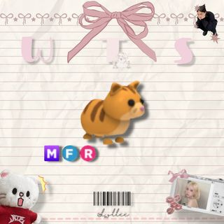 [TNG ONLY] MFR GINGER CAT ADOPT ME PET *read desc, Video Gaming, Gaming ...