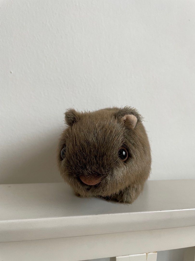 Wombat Aussie Plush Toy, Hobbies & Toys, Toys & Games on Carousell