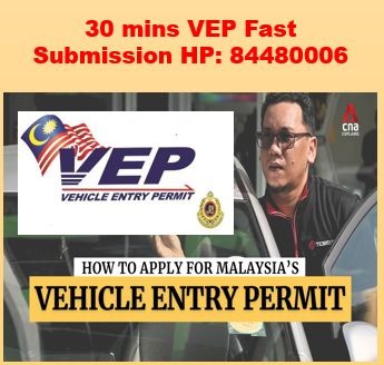 🔥💯VEP 1 DAY APPROVAL FAST VEP Fast Submission, VEP Application, VEP ...