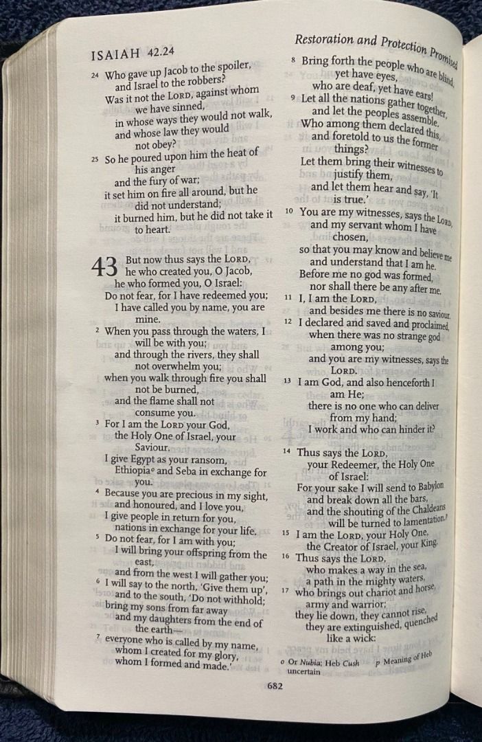 New Revised Standard Version (NRSV) of the Holy Bible Anglicized ...